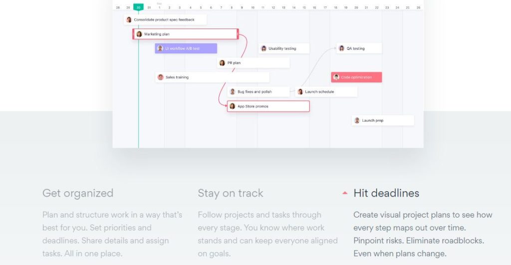Asana App Complete Review- Work From Home