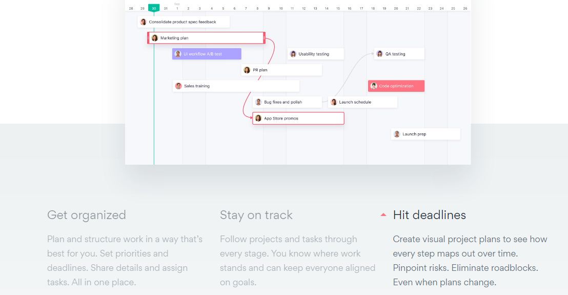 Asana App Complete Review- Work From Home